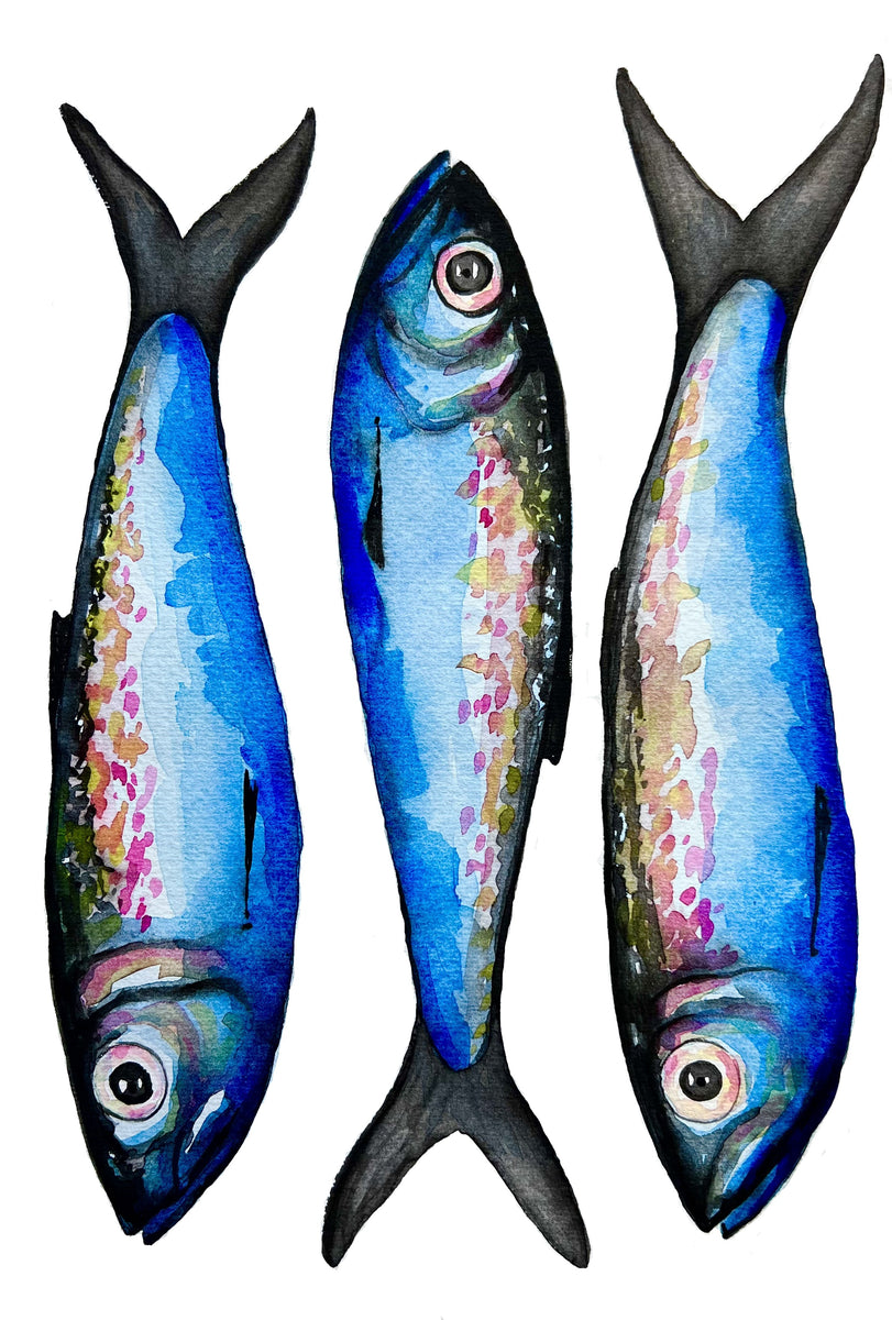 Herring "In A Row" merchandise – Tide Watcher